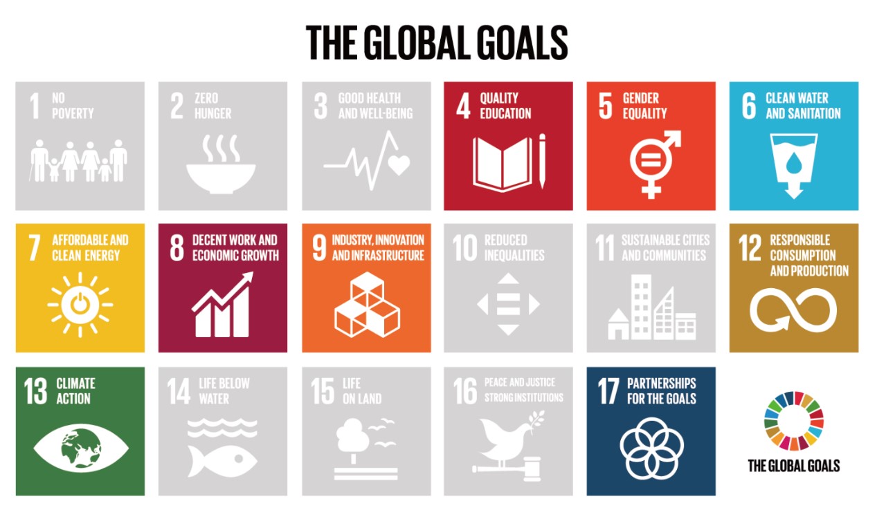 [Nine Sustainable Development Goals of the SDG Group]